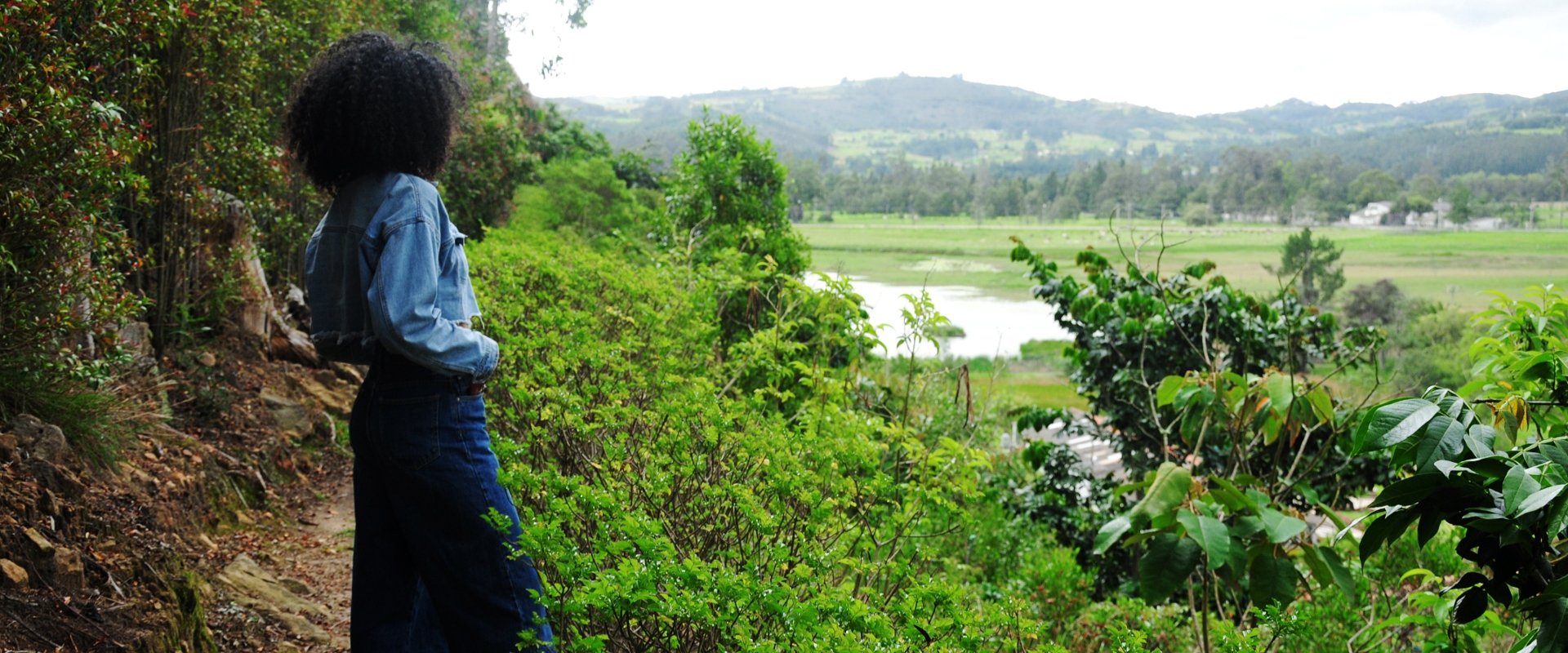 Tour Hotel Alcaraván en Llanos Orientales, Web Oficial